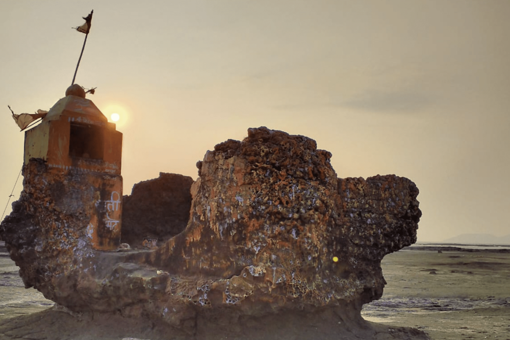 Velas Beach, Maharashtra